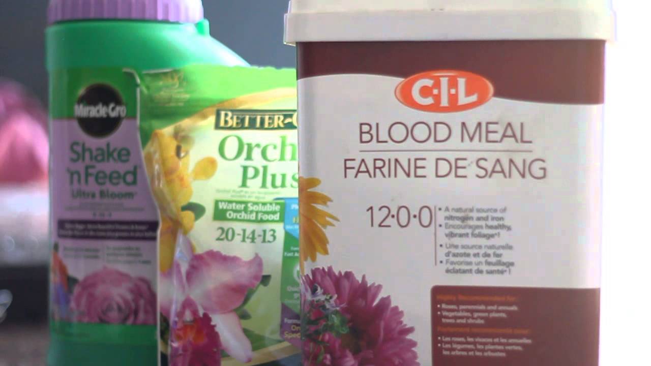 Garden Basics E2: Understanding NPK Fertilizers - YouTube