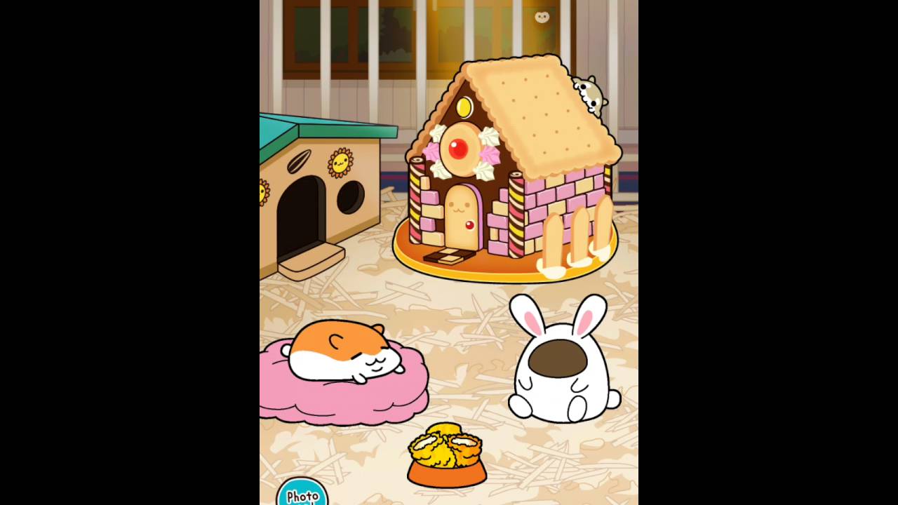 Game Hamster Collection - YouTube