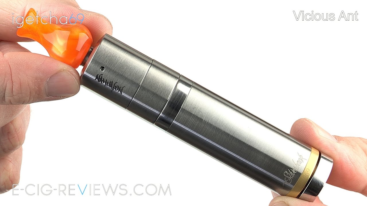 REVIEW OF THE SILVERBACK BY VICIOUS ANT - YouTube
