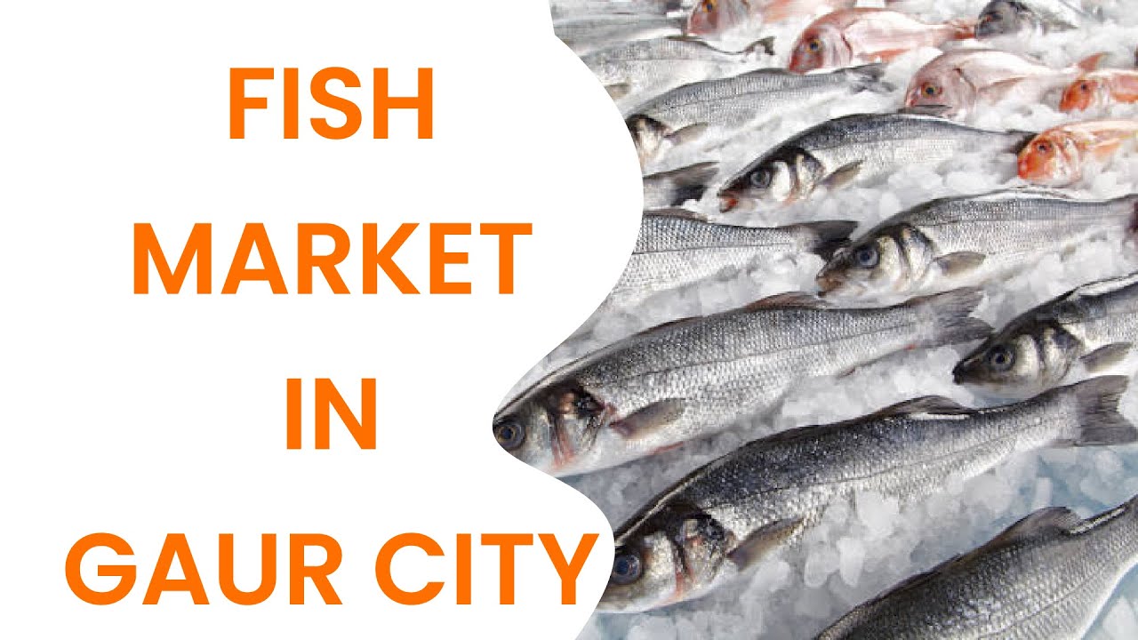 Fish Market In Gaur City , Greater Noida | Ankush vlogs - YouTube