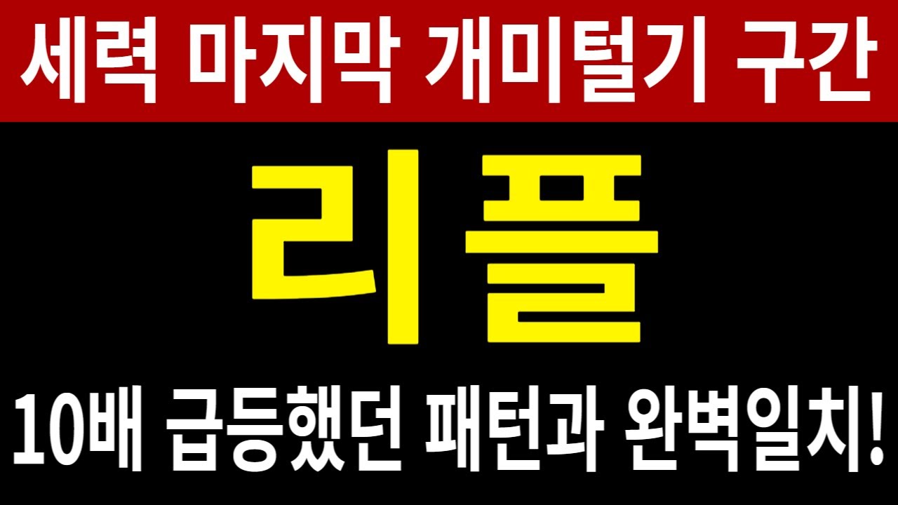 리플 Xrp 리플 코인 세력 마지막 개미 털기 구간 리플 10배 급등했던 패턴과 완벽일치 급등전 반드시 쓸어담으세요