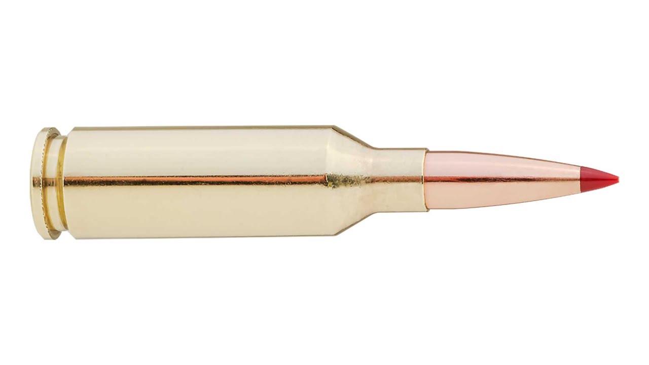 New For 2024: Hornady 22 ARC - YouTube