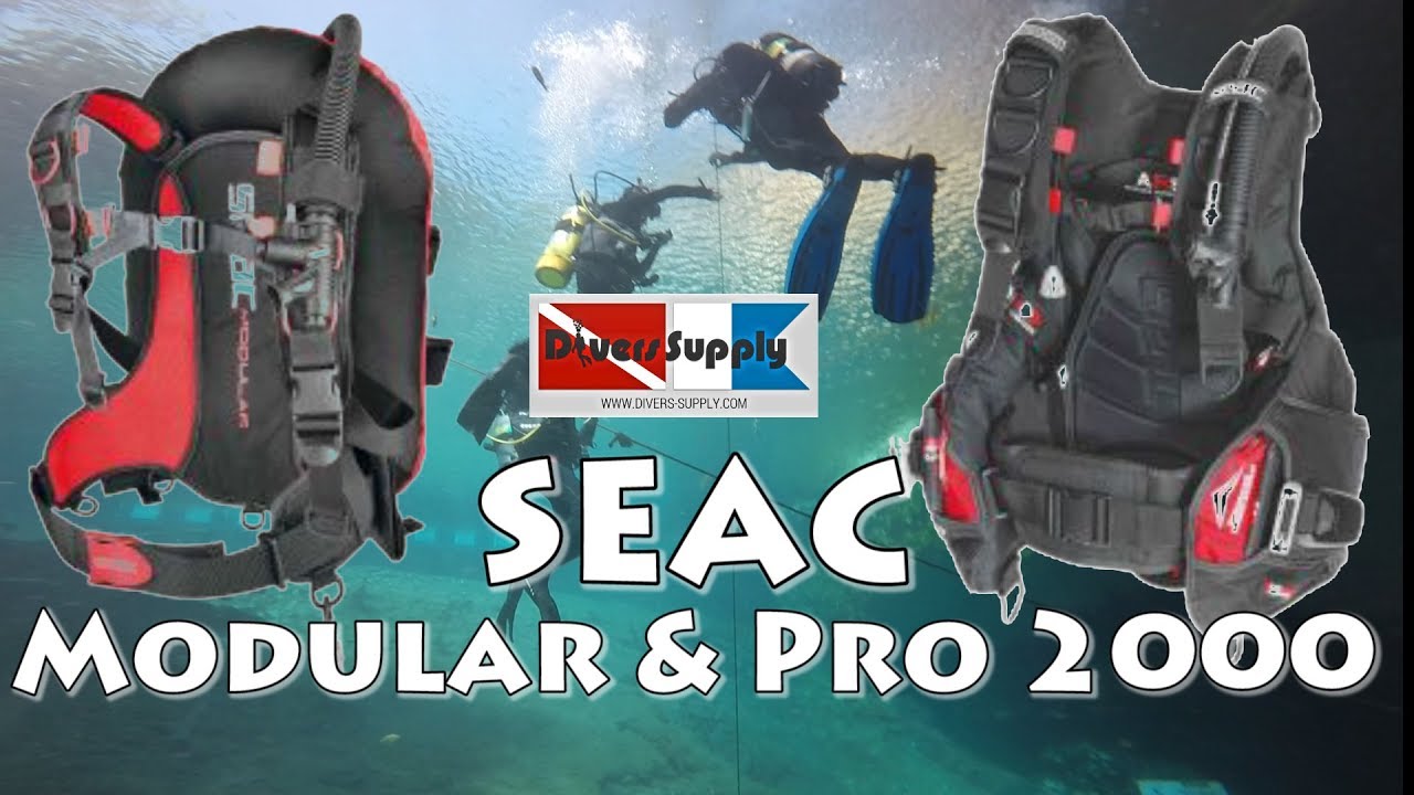 Seac Pro 2000 and Modular BCDs *** A Hybrid and a Back-plate and Wing ...
