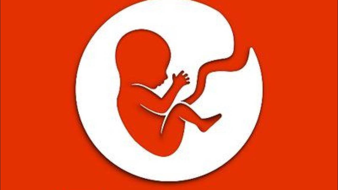 Bitlife (part one!) FACE REVEAL! - YouTube