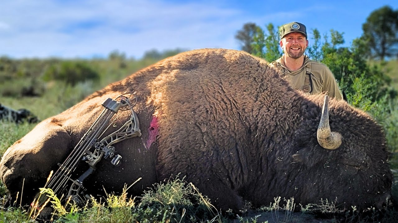 HUGE UTAH BISON WITH A BOW! (Once in a Lifetime Book cliff's Hunt ...