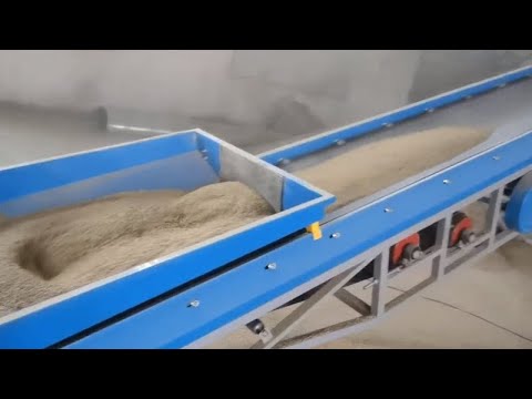 Grain Belt Conveyor bulk corn into the warehouse - YouTube