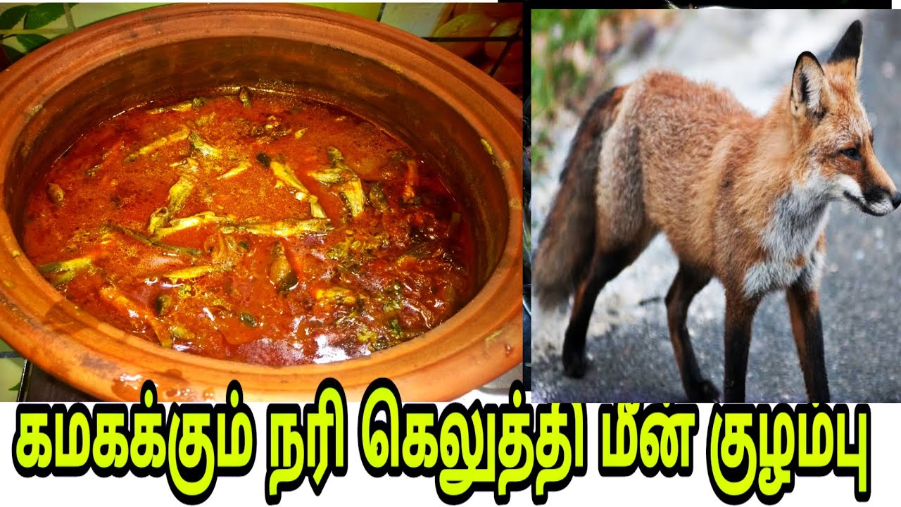 நரி கெழுத்தி மீன் குழம்பு செய்வது எப்படி | How to prepare Nari kulthi ...