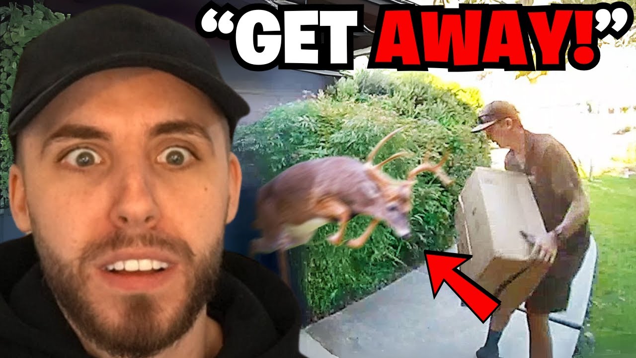 Best Delivery Driver Videos of the Decade - YouTube