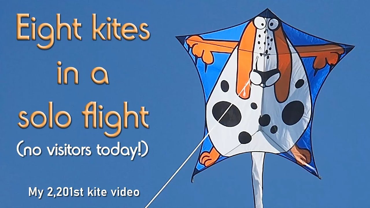 Eight kites in a solo fly (no visitors today!) - YouTube