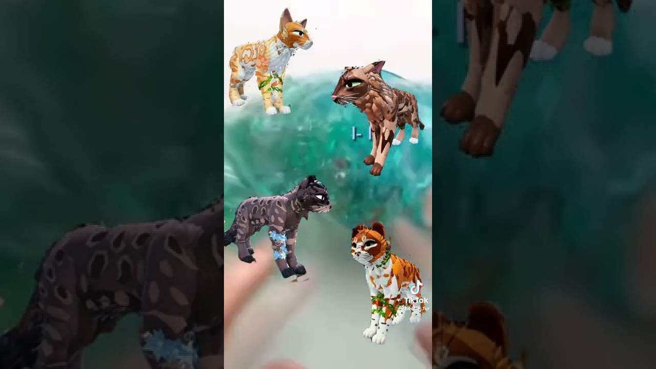 the best wcue tiktoks! - YouTube