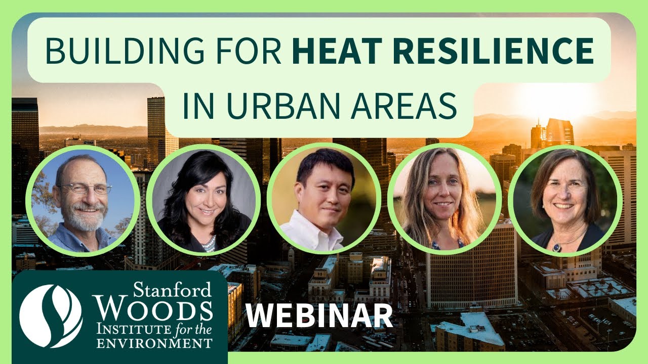 Building for Heat Resilience in Urban Areas | Webinar - YouTube