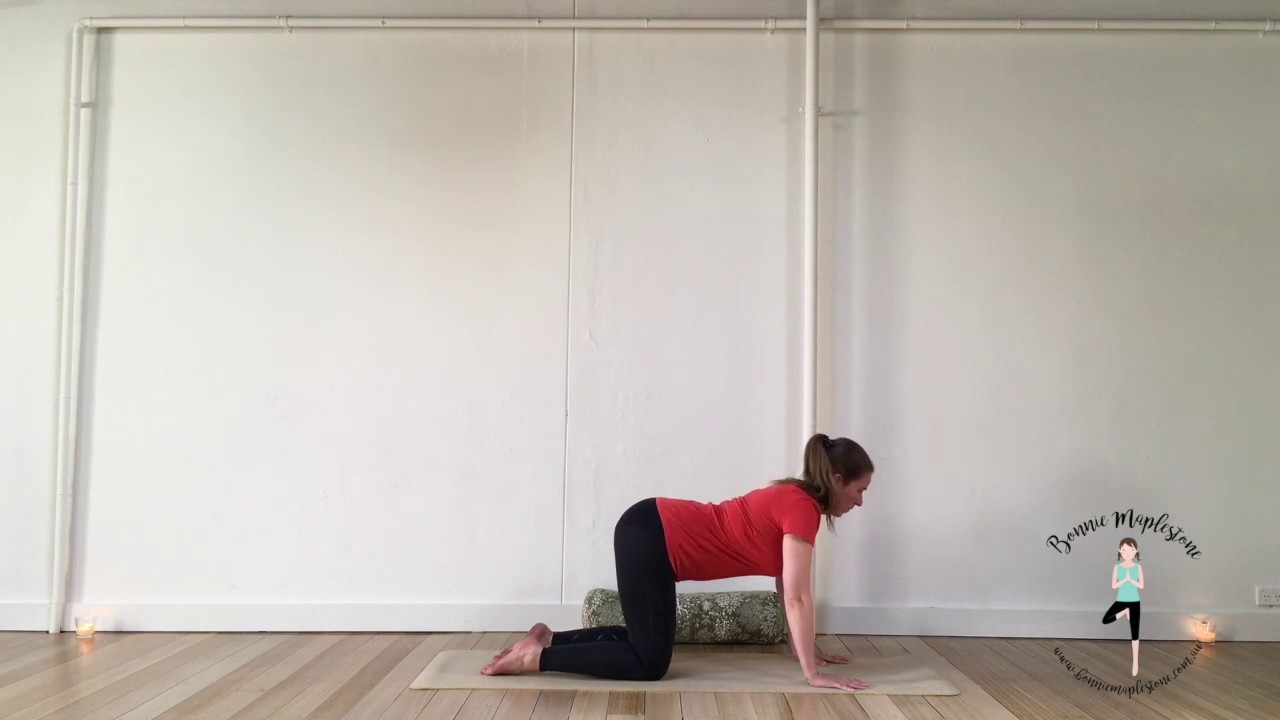 Cat pose variations - Marjariasana (Bidalasana) - YouTube