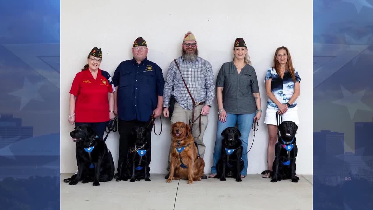 US Veteran Service Dogs Gala - YouTube