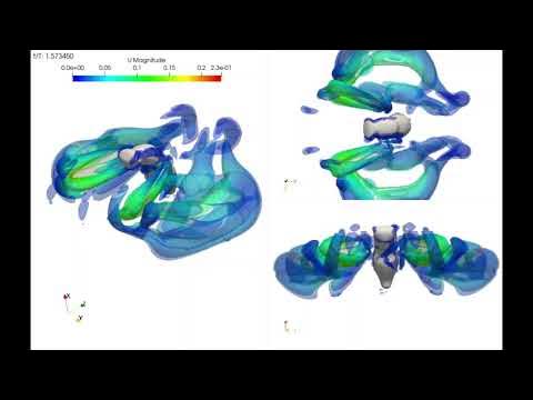 Hovering Fruit fly insect at Low Reynolds number using Overset Method in OpenFOAM v2112. - YouTube