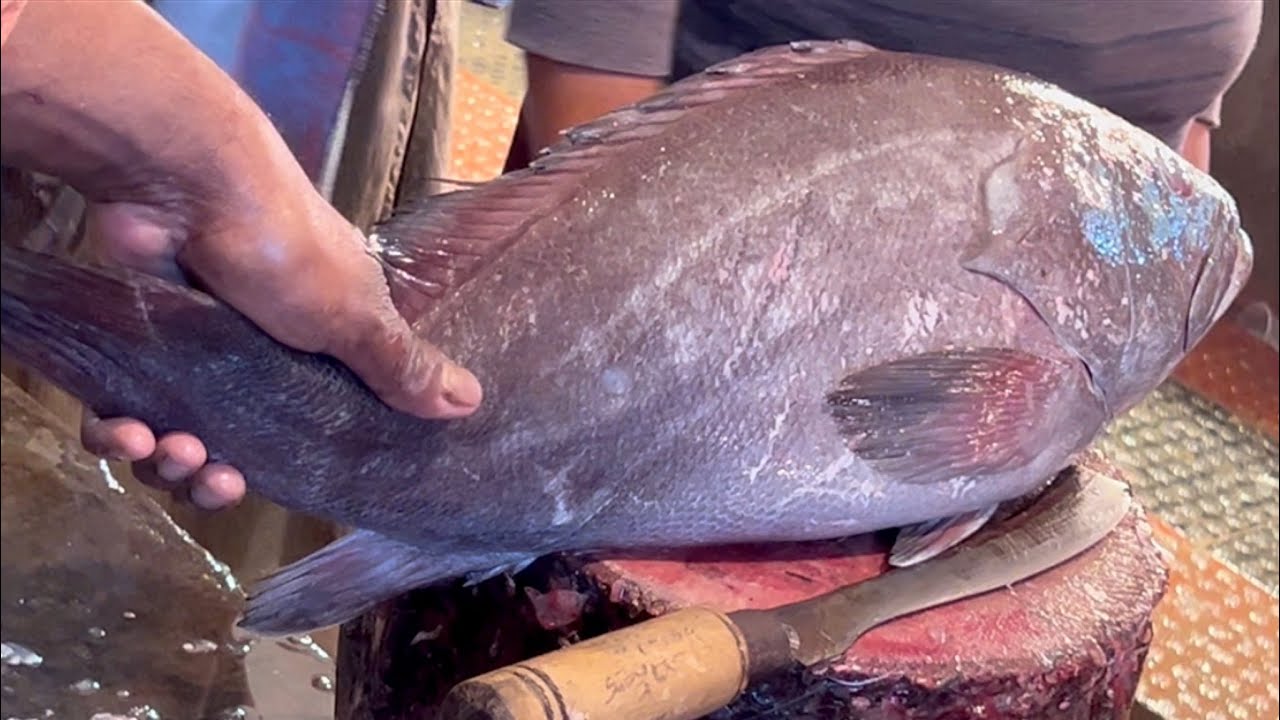 Incredible Big Hamour Fish Cutting Skills In Fish Market | Amazing Fish ...
