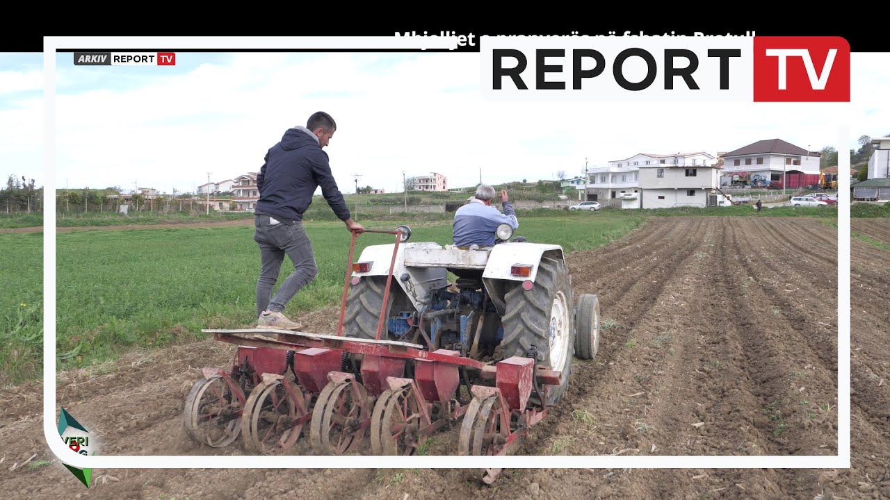 Veri Jug - Mbjelljet e pranverës në fshatin Rrotull (15.04.2024) - YouTube