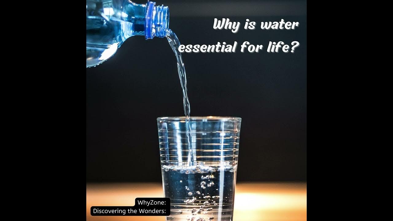 Wonder 15 : Why is Water Essential for Life ? - YouTube