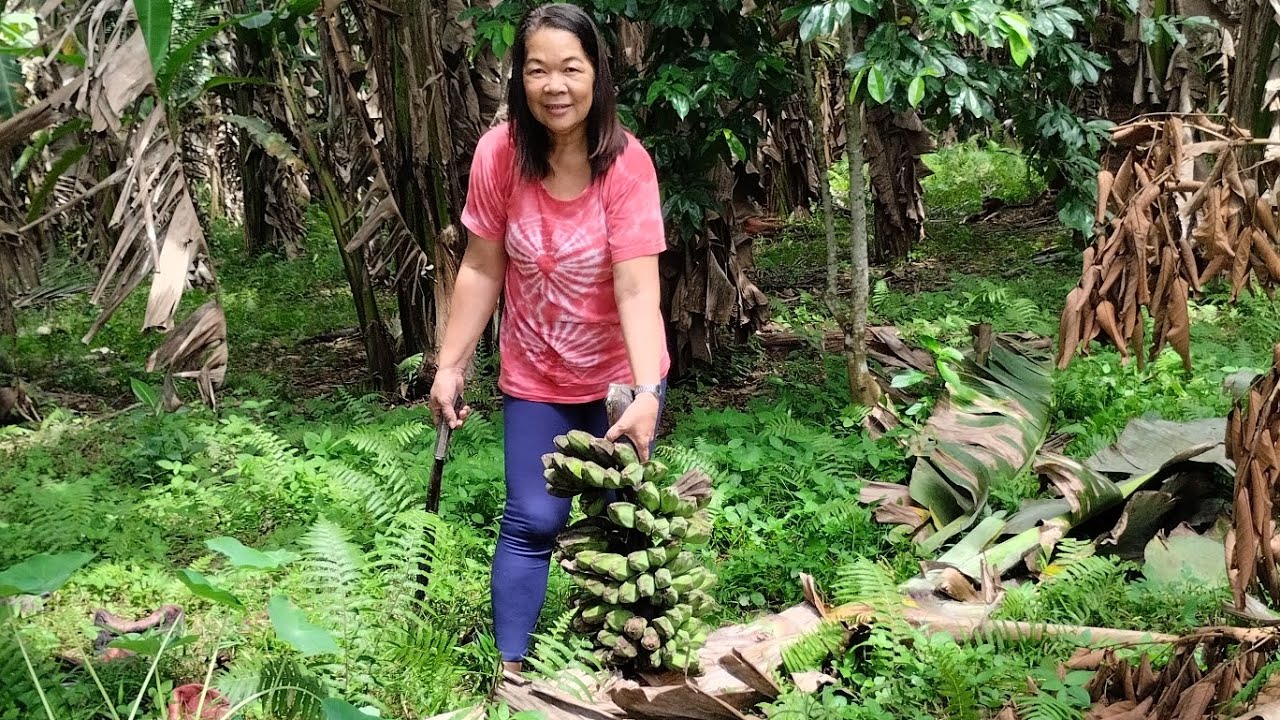 NILUPAK NA SAGING SA FARM#kuyavalsantosmatubang - YouTube