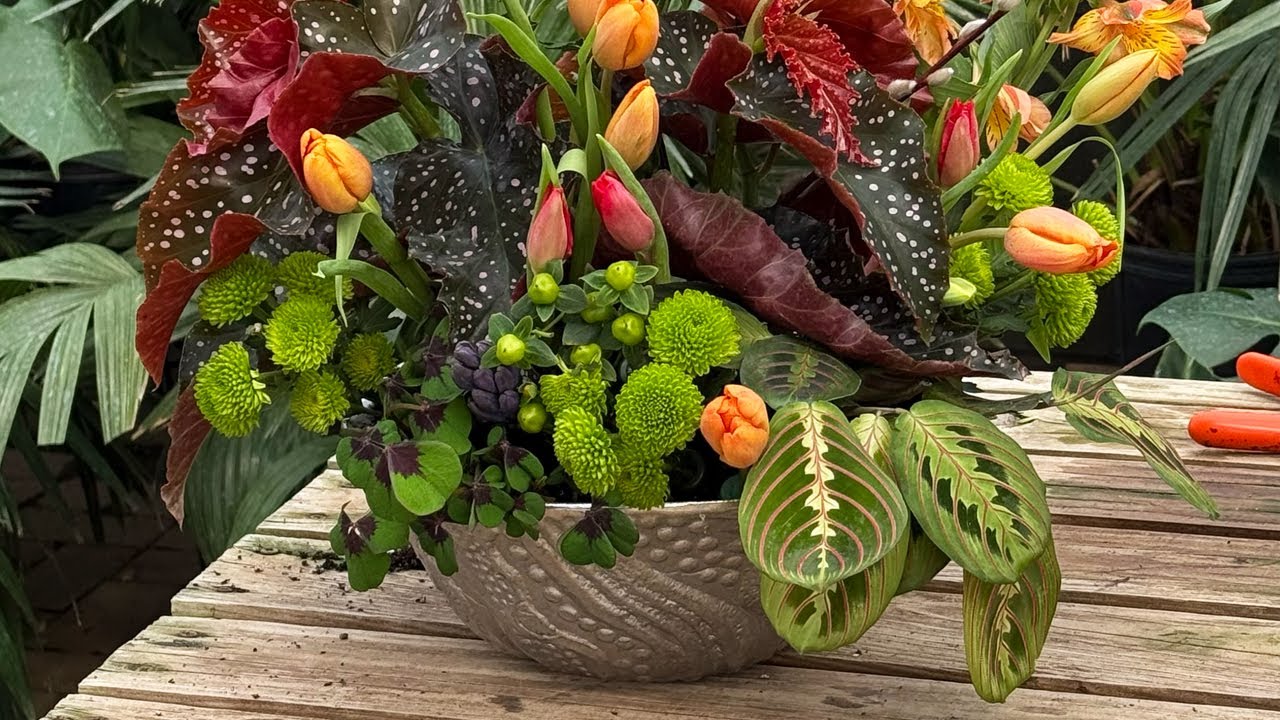 Pot et Fleur Flower Arranging Lesson with Laughing - YouTube