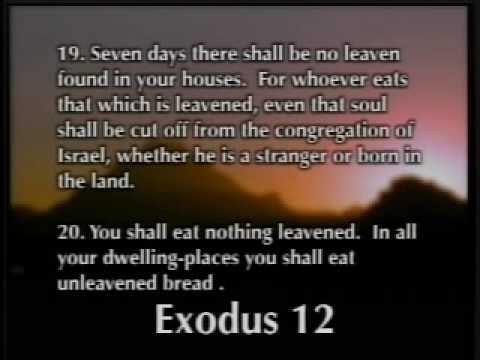 EXODUS chapter 12 Bible Reading - YouTube