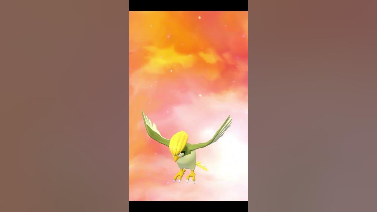 Shiny Pidgey Evolved Into Shiny Pidgeotto! In Pokémon Let's Go Eevee & Pikachu - YouTube