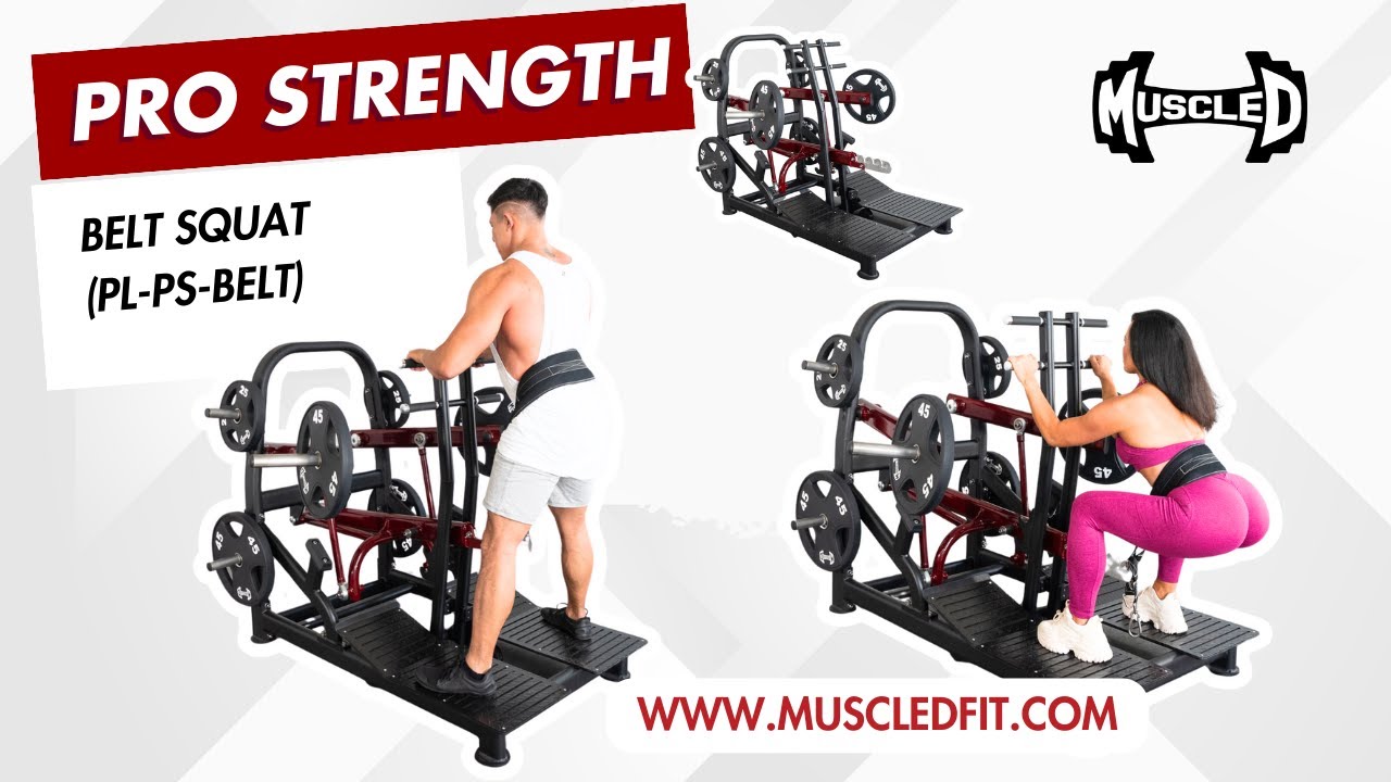 Muscle D Commercial Gym Plate Loaded Pro Strength Belt Squat (PL-PS ...