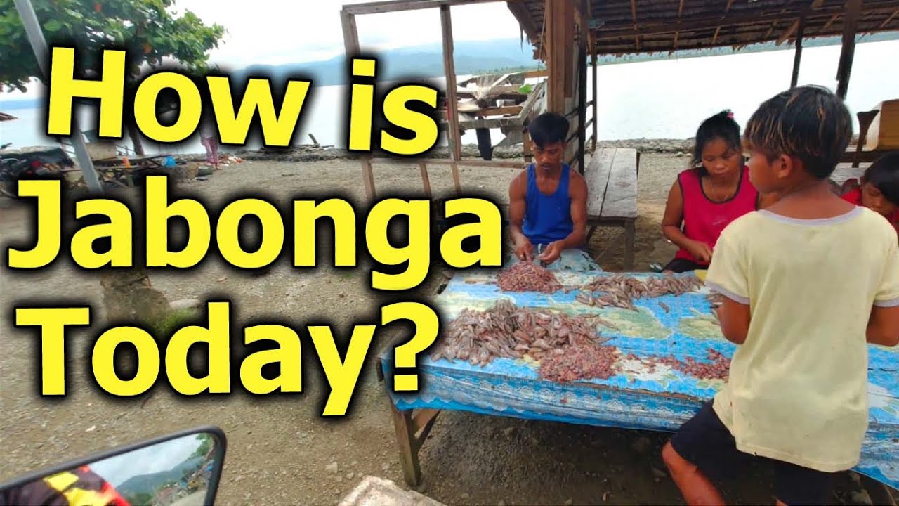 Dried Fish PIRANHA? | Jabonga Agusan Del Norte Caraga Philippines - YouTube