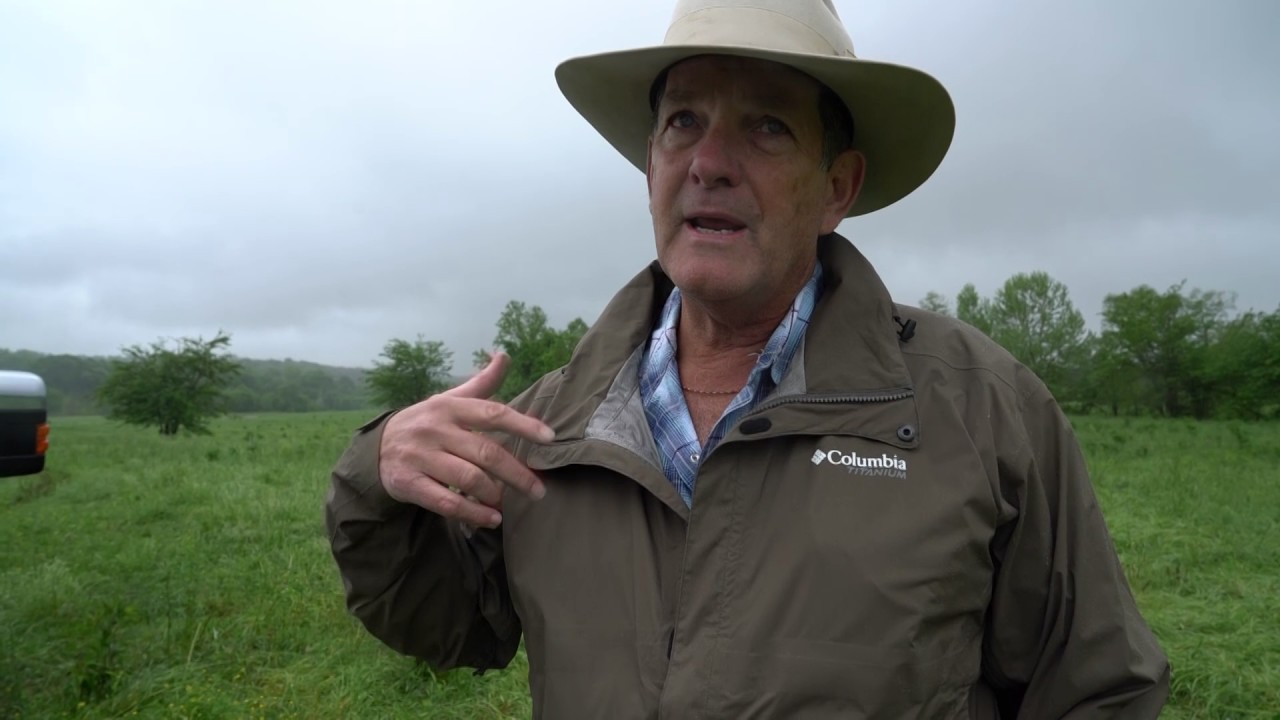 Pinewood Farms - YouTube