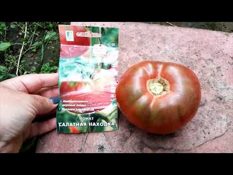 Томат Салатная находка. - YouTube
