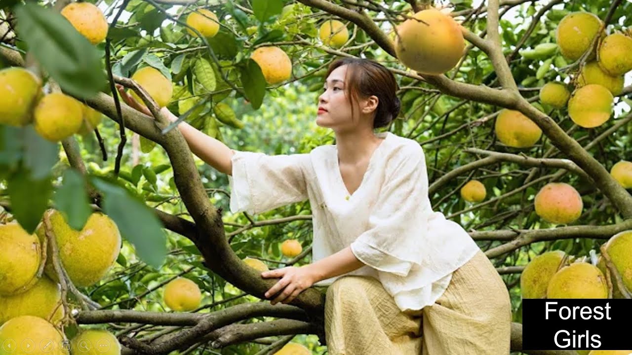 Dien Thanh Tieu Van Harvesting pomelo and banana orchards Going to the ...