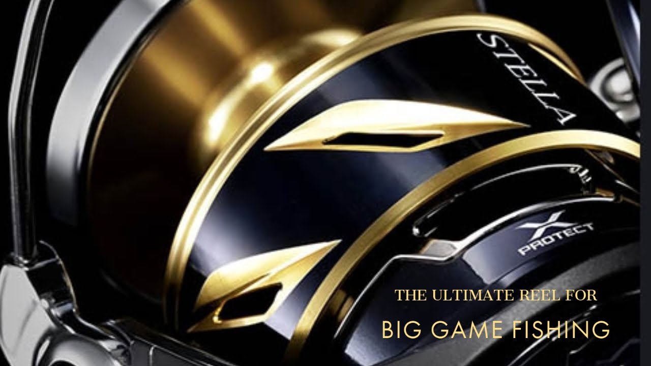 INTRODUCING SHIMANO STELLA 30000 - YouTube