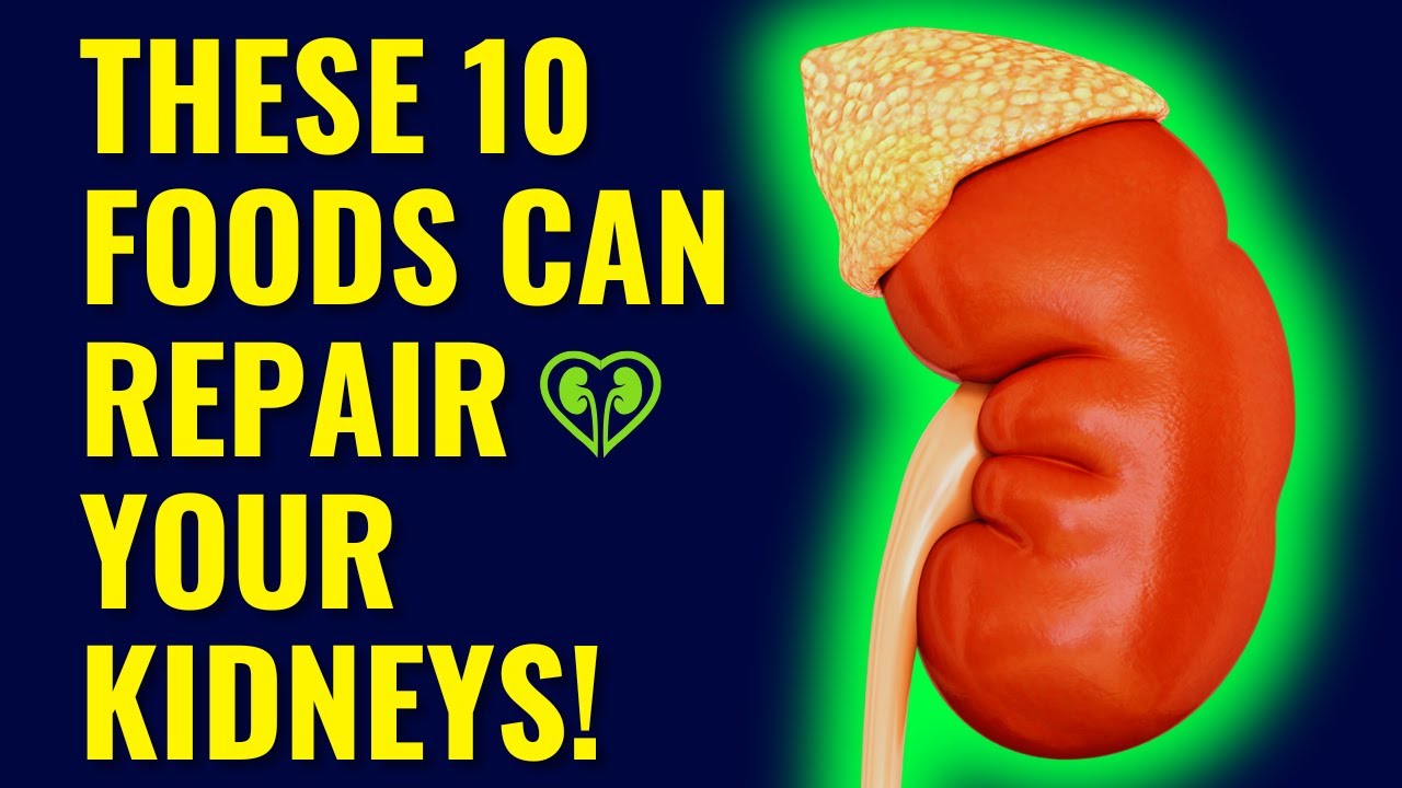 top 10 foods that repair kidneys naturally - YouTube