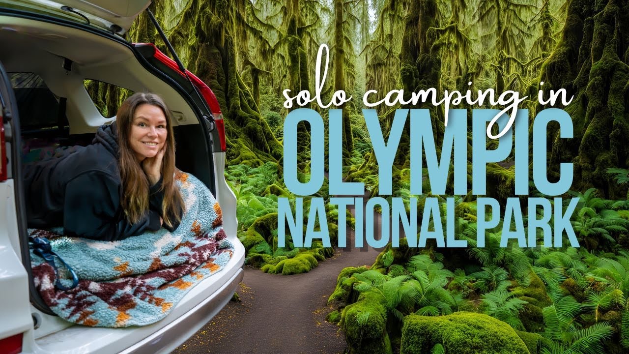Exploring Olympic National Park: Top Hikes, Hidden Gems, and Travel ...