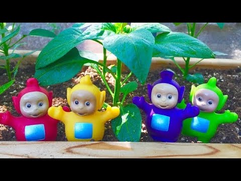 GREENHOUSE Gardening and BUGS with TELETUBBIES TOYS Learning For Kids ...