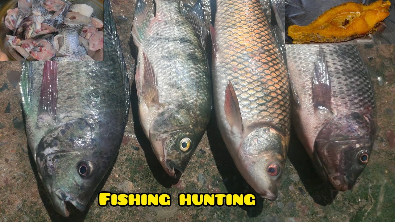 pond water fish catching and cooking fish fry ||country fish fry || # ...
