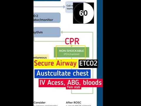 Non-shockable (PEA/asystole) cardiopulmonary arrest algorithm - YouTube