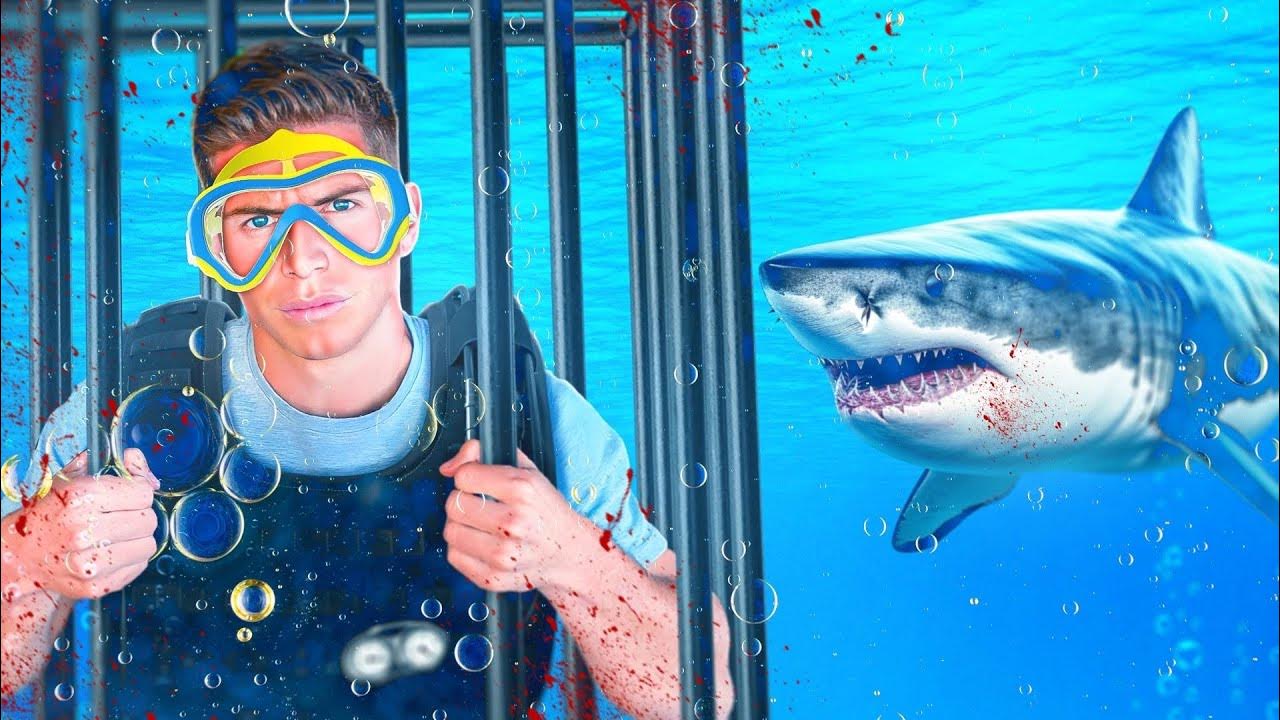 La Estrategia De Océano Azul | Entiende Esto Y Destroza A Tu Competencia - YouTube