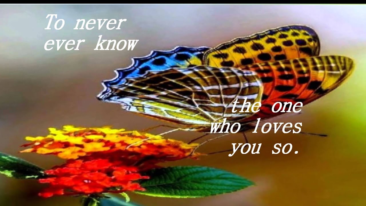 Joni James - You Don't Know Me (with Lyrics) - YouTube