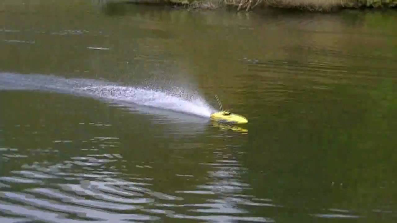 Seagull attacking remote control RC boat - YouTube