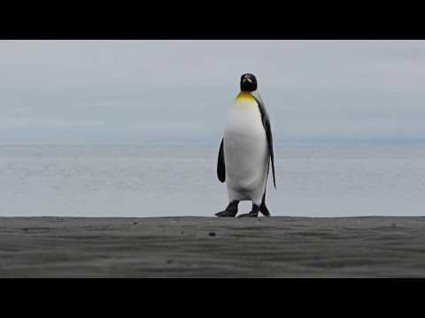 Bye Bye Happiness 😉