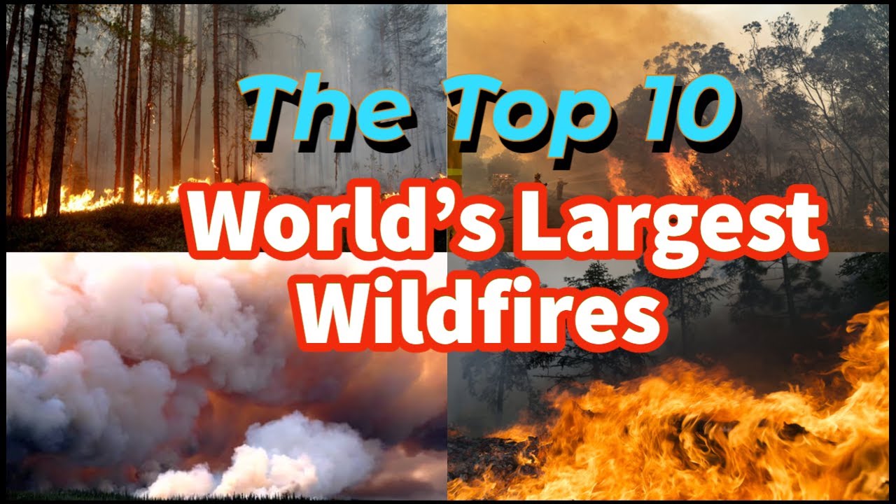 Top 10 Biggest Wildfires in the World - YouTube