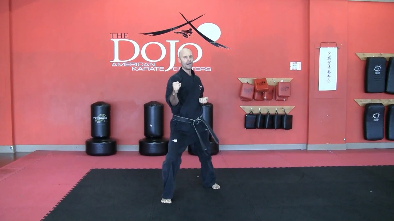 Yoshukai Traditional Karate Basics - Gyaku zuki / Reverse Punch - YouTube