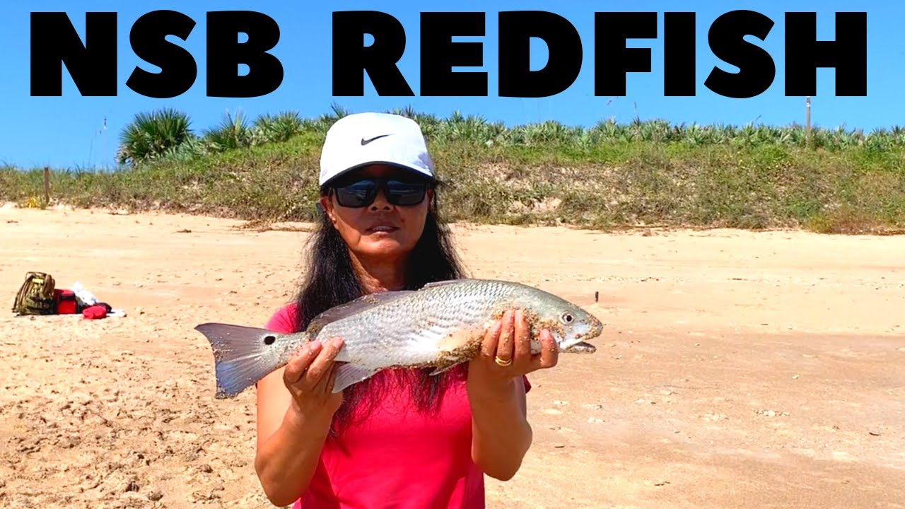 Surf fishing for REDFISH at New Smyrna beach after Hurricane Dorian ...