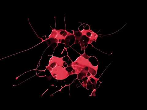 Newik - My Love (Extended Mix)