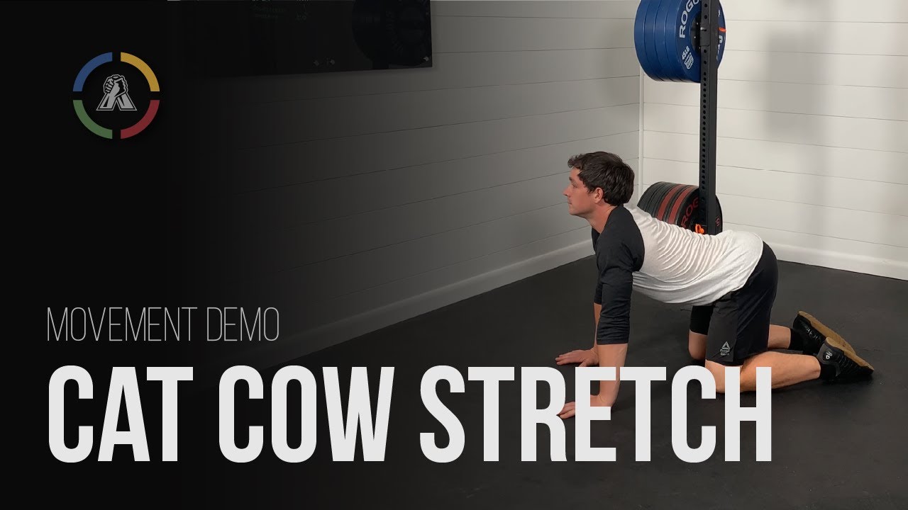 Cat Cow Stretch | Movement Demo - YouTube