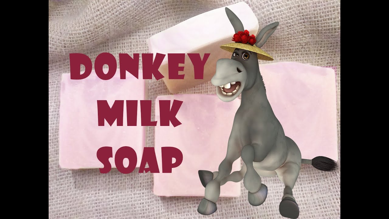 Making Donkey Milk Soap - YouTube