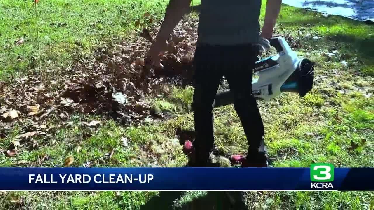 Consumer Reports: What to know about fall yard cleanup options - YouTube