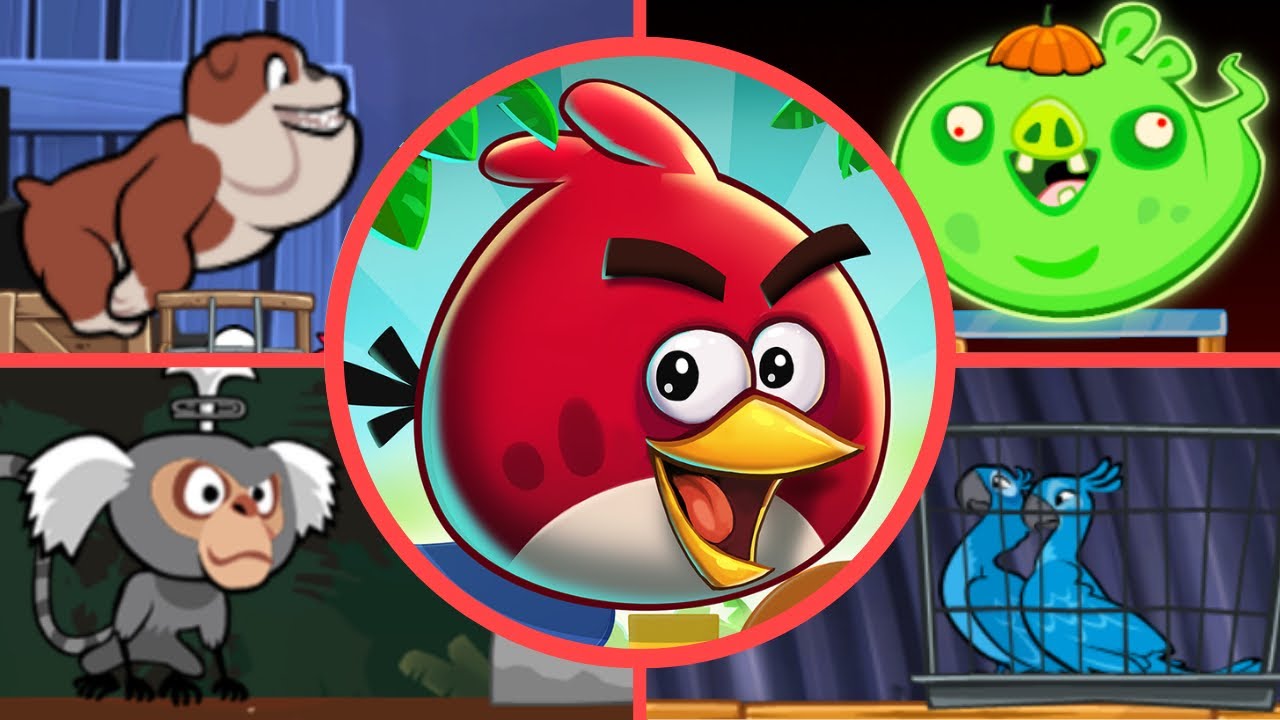 Angry Birds Maker Rio 26 - All Bosses (Luta dos Bosses) - YouTube