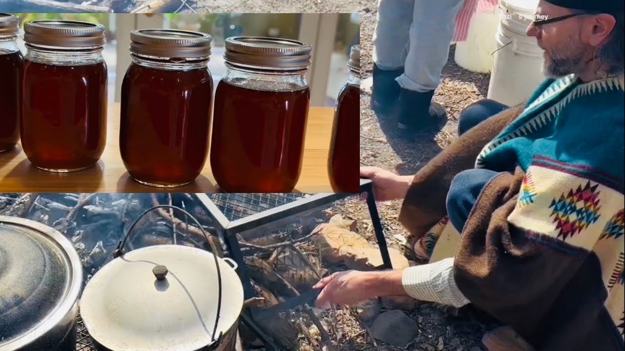 HOW TO MAKE MAPLE SYRUP FROM OUR TREES |#maplesyrup - YouTube