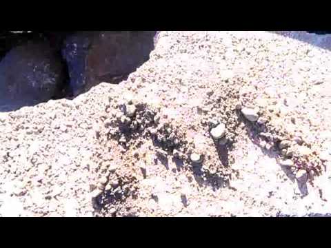 Mustafa Atacan çelik sihirbazlık